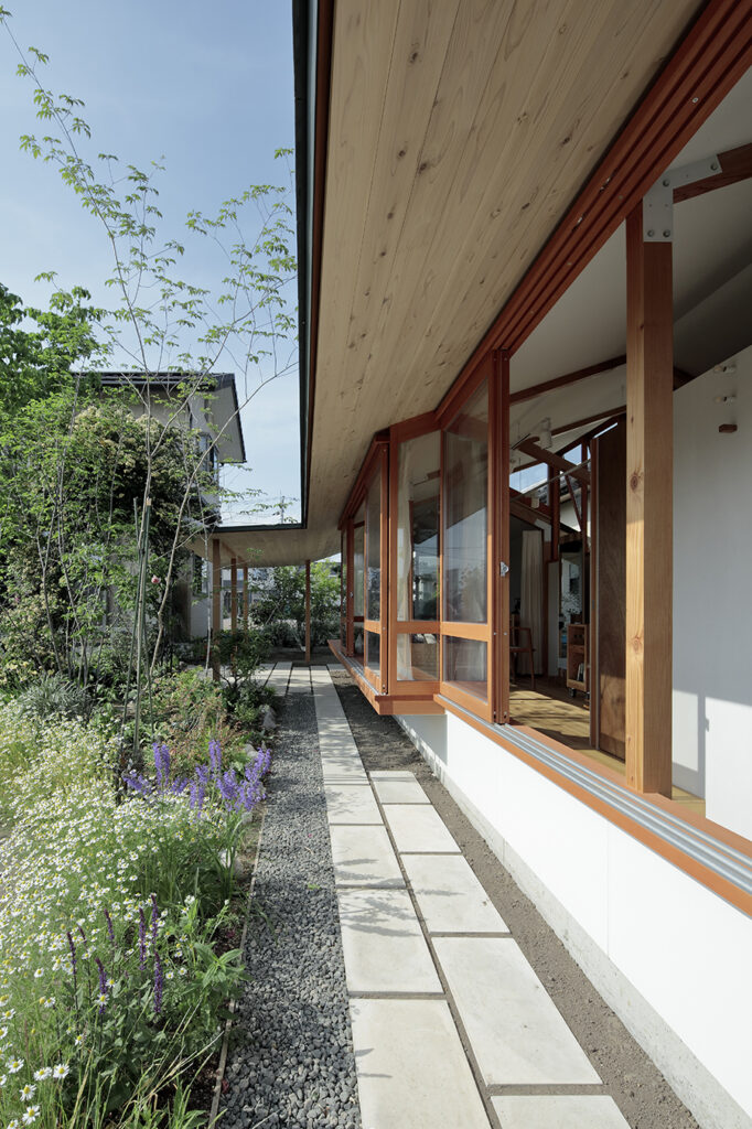 Toro - Studio Synapse